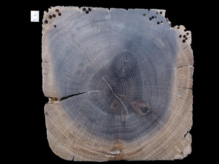 Ancient Timber [IMAGE] | EurekAlert! Science News Releases