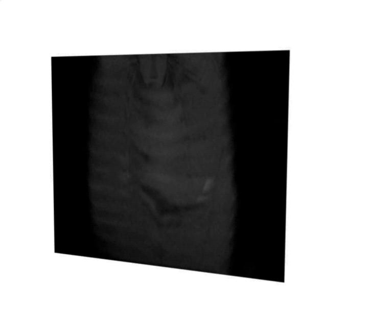 Reconstructing the Stomach fro [IMAGE] | EurekAlert! Science News Releases