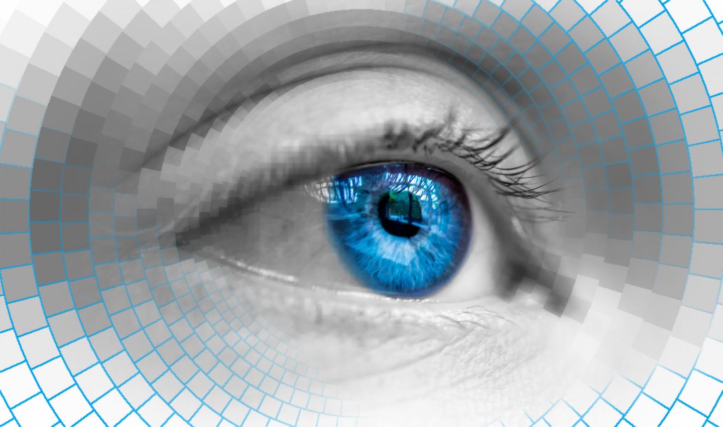 Animal-Inspired Imaging System Shifts Gaze to | EurekAlert!