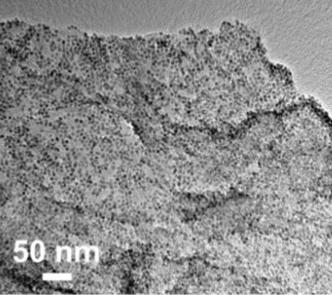 Composite Catalyst [IMAGE] | EurekAlert! Science News Releases
