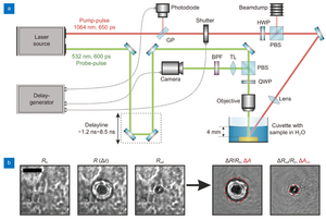 Time resolved studies reveal the origin of th | EurekAlert!