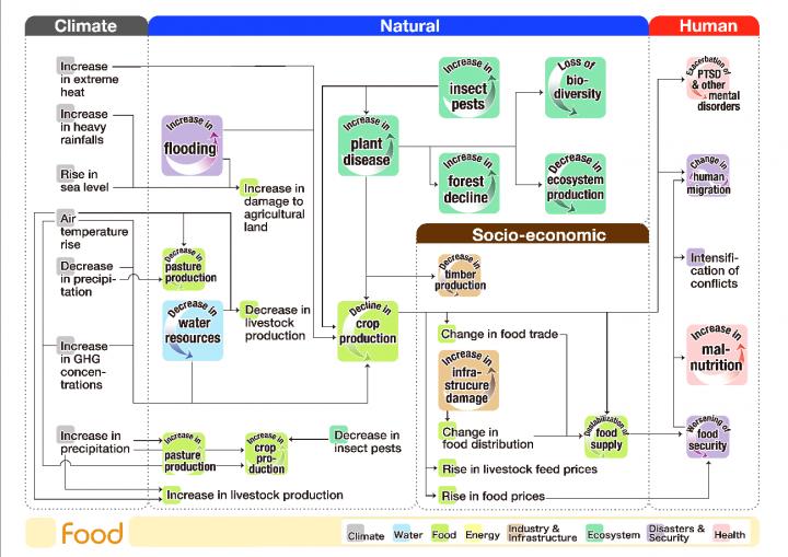 Visualizing the interconnections among climat | EurekAlert!
