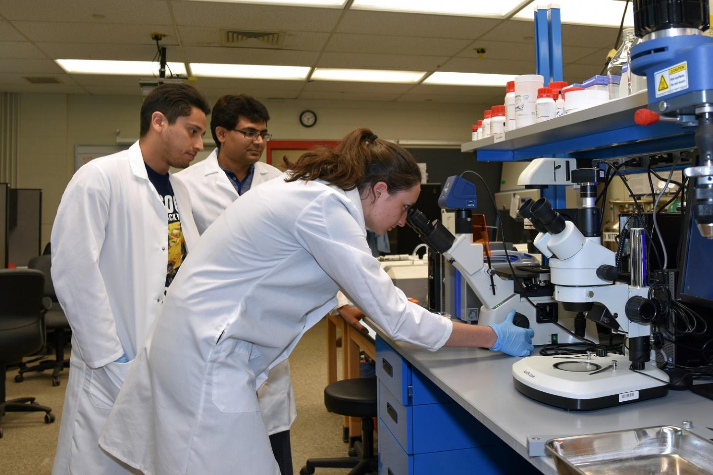 FAU's Department of Exercise S [IMAGE] | EurekAlert! Science News Releases