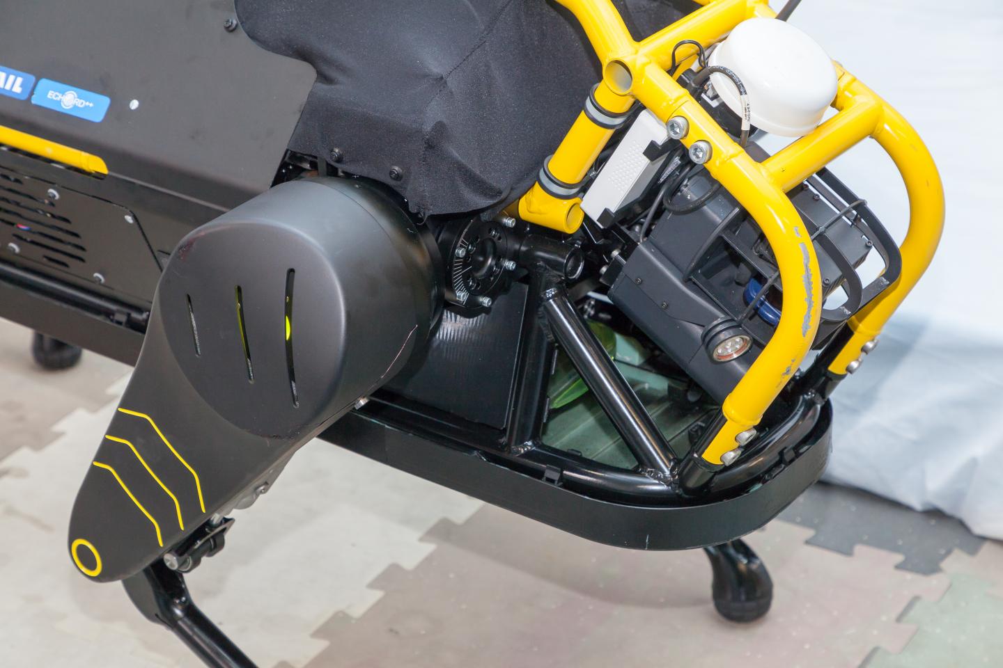 HyQ Real Front [IMAGE] | EurekAlert! Science News Releases