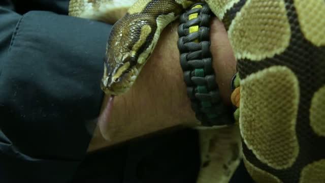 University of Florida researchers find geneti | EurekAlert!