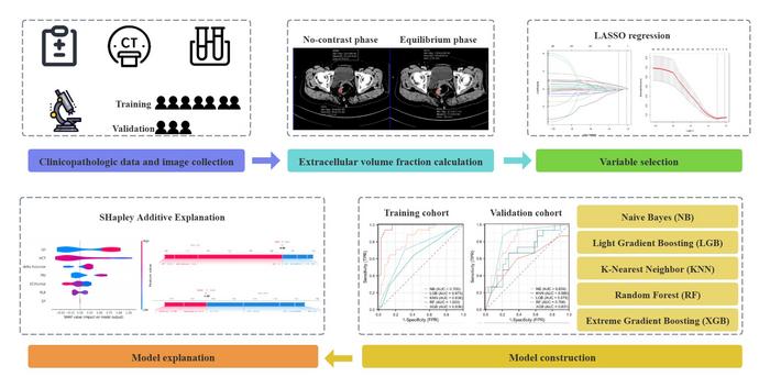Graphic abstract for machine l [IMAGE] | EurekAlert! Science News Releases