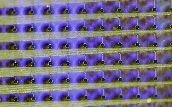 LEDs in the display [IMAGE] | EurekAlert! Science News Releases