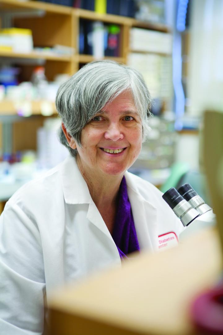 Discovering how insulin-producing cells show | EurekAlert!