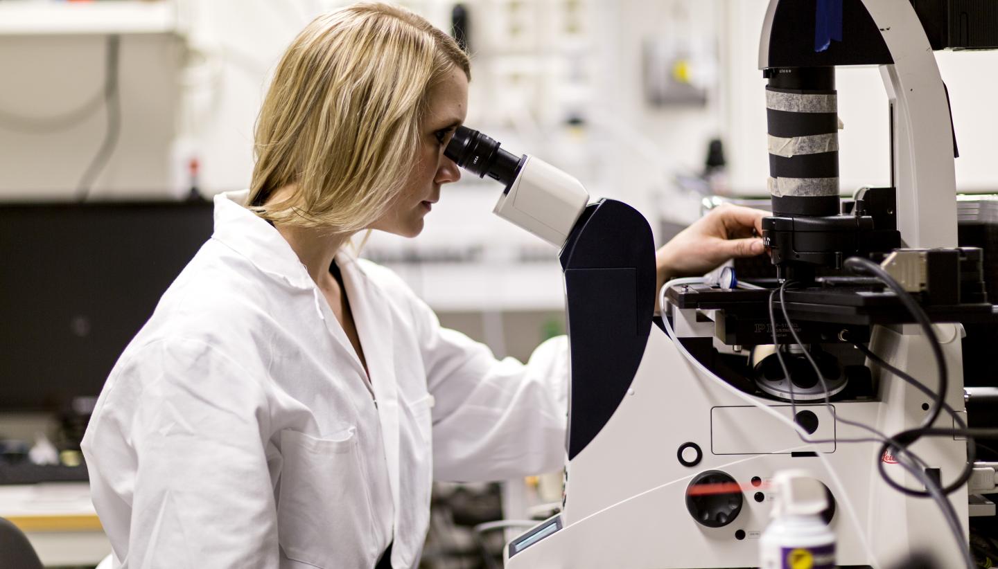 Anna-Karin Gustavsson, Univers [IMAGE] | EurekAlert! Science News Releases