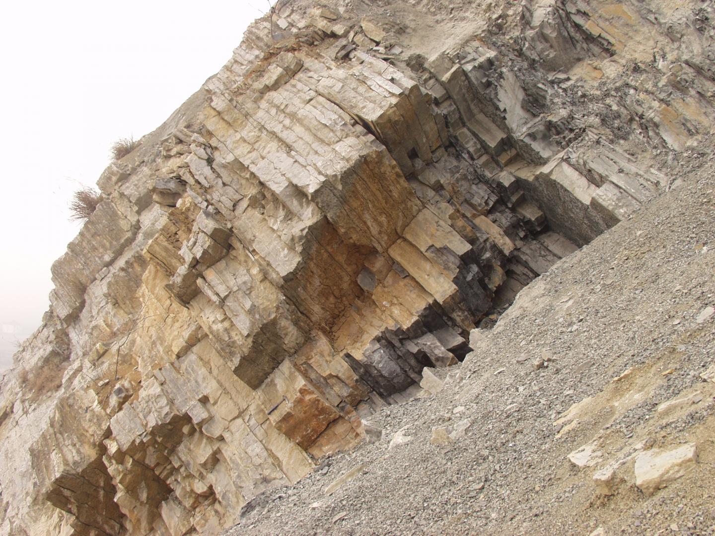 Pushing the Limit of Carbon Cycle Disturbance | EurekAlert!