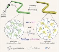 Solid-state intramolecular motions in continu | EurekAlert!