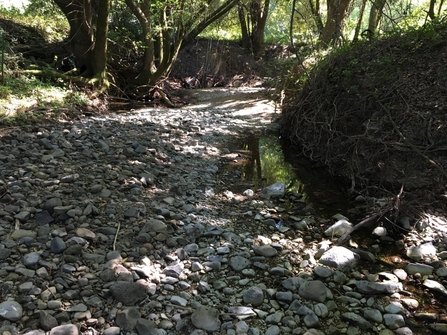 Drying Stream [IMAGE] | EurekAlert! Science News Releases
