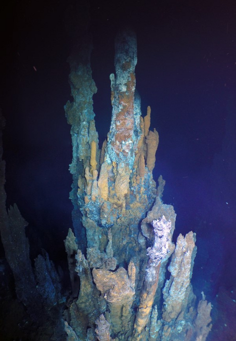 A hydrothermal chimney at YBW- [IMAGE] | EurekAlert! Science News Releases