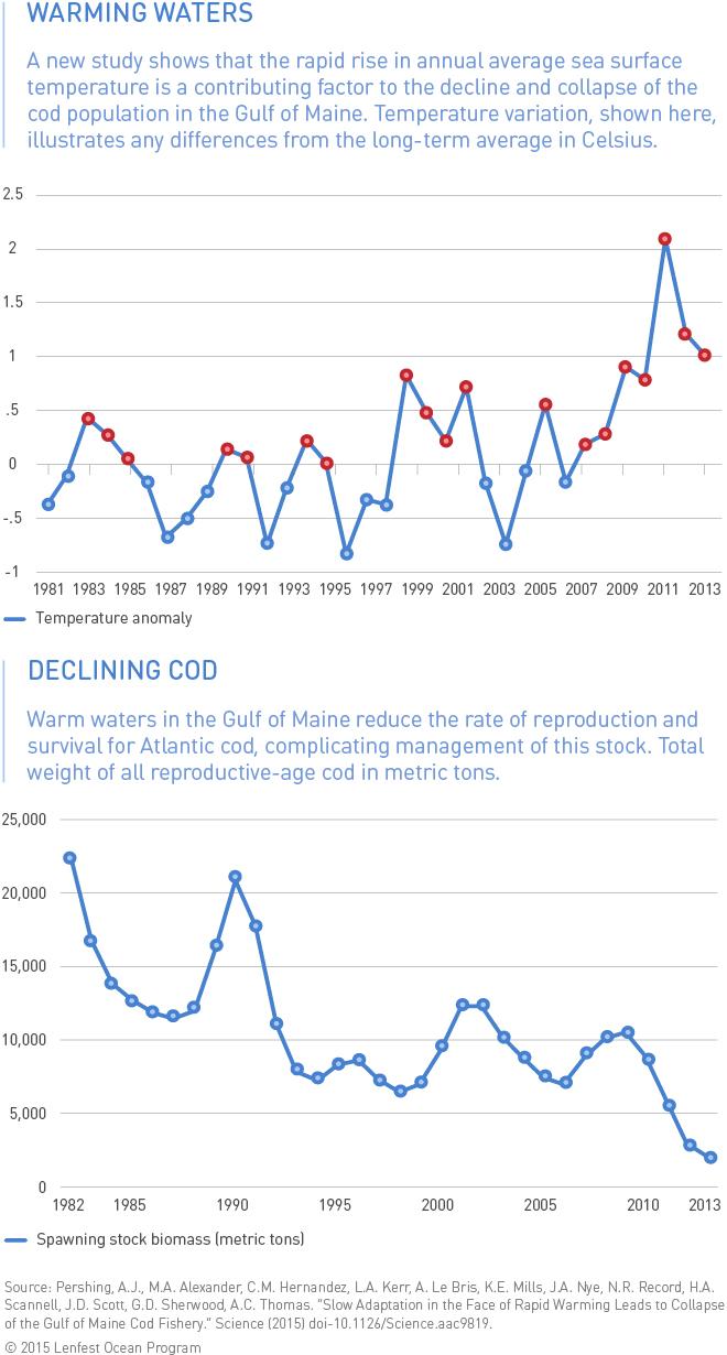 New England Cod Collapse Linked to Warming Wa | EurekAlert!