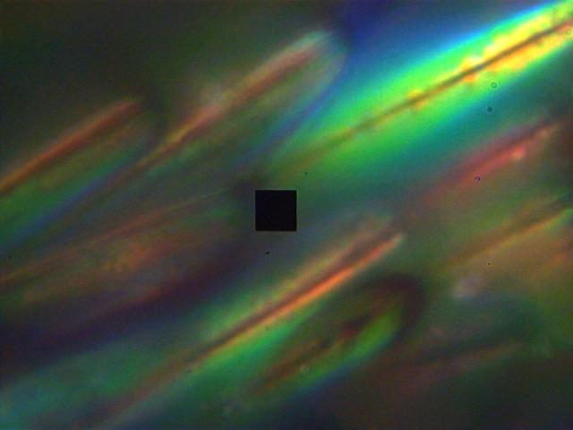 Observed Microscopic Color Pat [IMAGE] | EurekAlert! Science News Releases