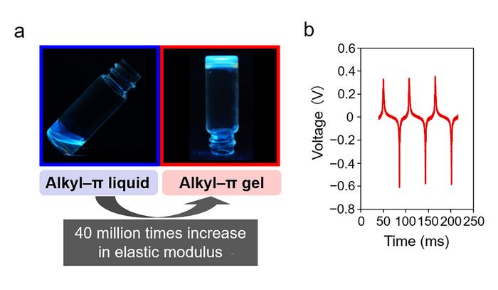 Creation of a power-generating, gel electret- | EurekAlert!