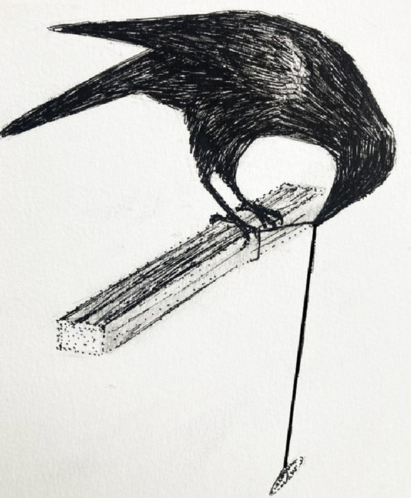 Sick animals struggle to problem solve and ad | EurekAlert!