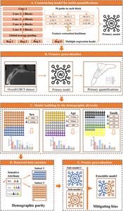 Multi-quantifying maxillofacial traits via a | EurekAlert!