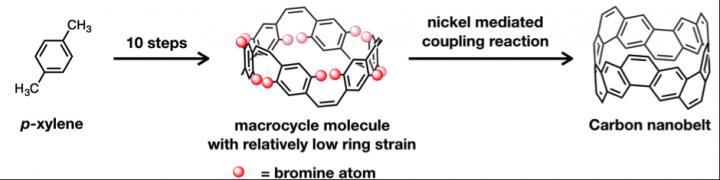 Synthetic Approach [IMAGE] | EurekAlert! Science News Releases
