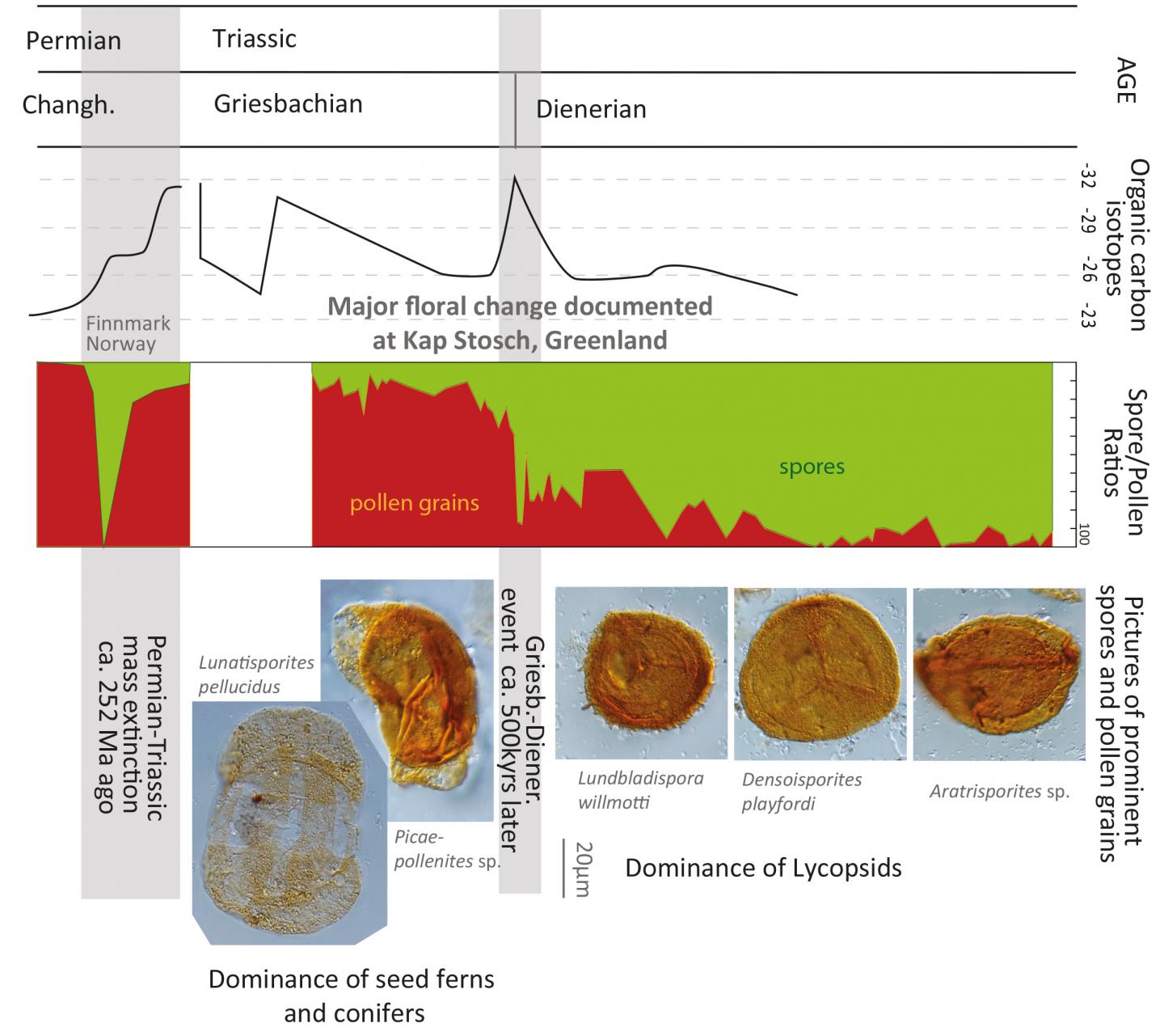 Previously unknown global ecological disaster | EurekAlert!