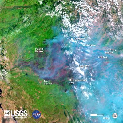 Wildfire science returns to Rim Fire | EurekAlert!