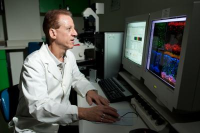 Donald A. Fox, University of H [IMAGE] | EurekAlert! Science News Releases