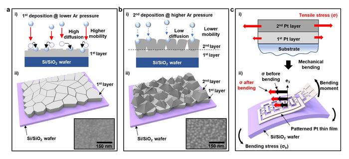 Figure 1 [IMAGE] | EurekAlert! Science News Releases