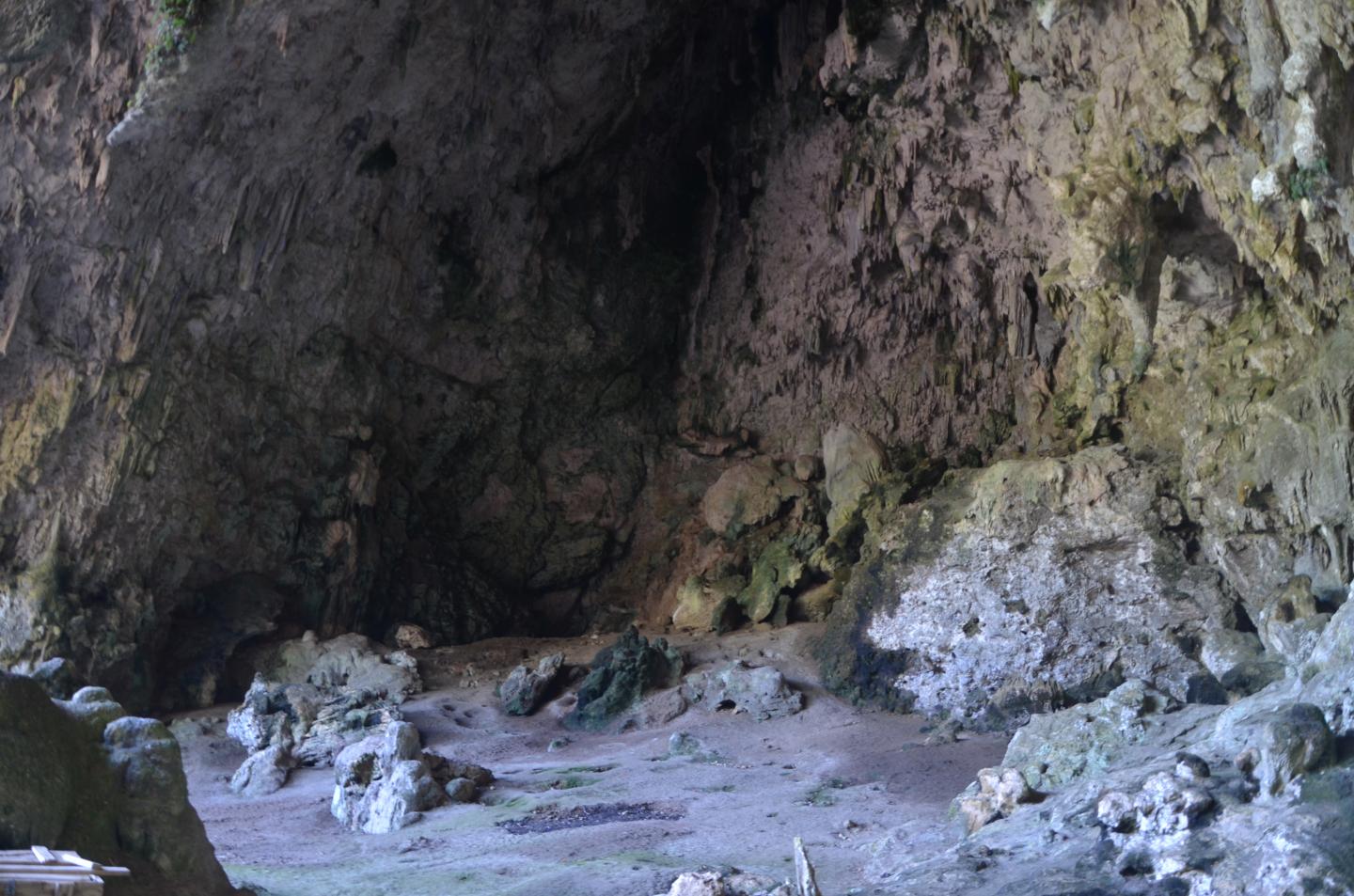 A Short Genetic History of the Flores Island | EurekAlert!