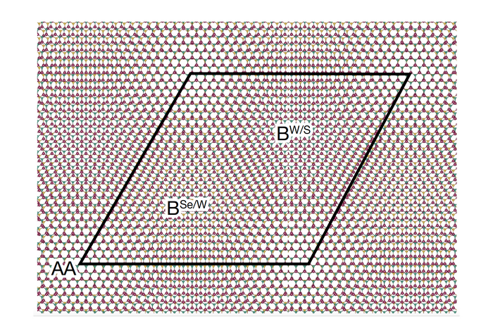 New Exiton Species Discovered [IMAGE] | EurekAlert! Science News Releases