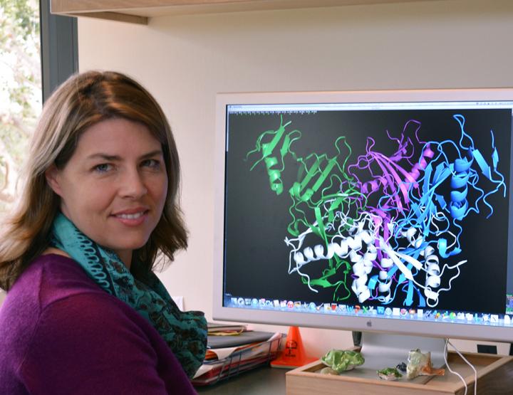 Erica Ollmann Saphire World Co [IMAGE] | EurekAlert! Science News Releases