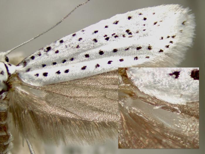 Fig 3 [IMAGE] | EurekAlert! Science News Releases