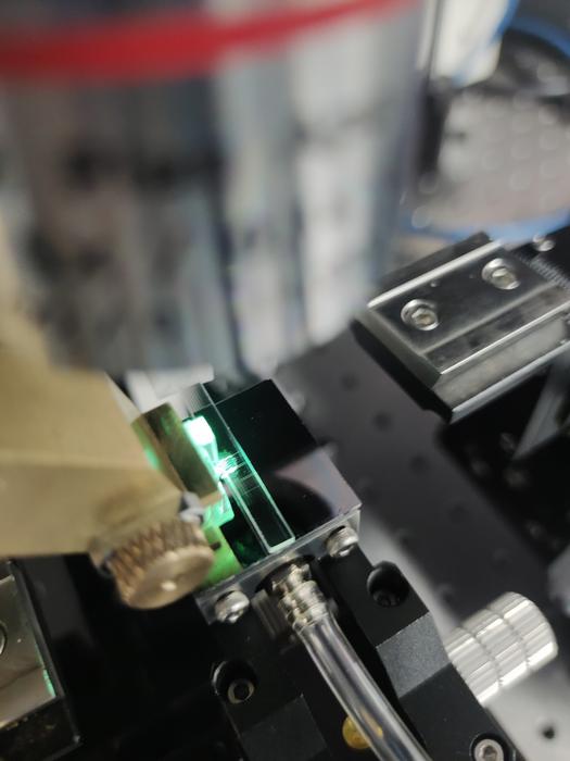 OPCA chip test system [IMAGE] | EurekAlert! Science News Releases