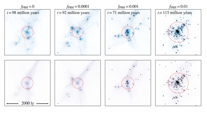 Matter Fields [IMAGE] | EurekAlert! Science News Releases