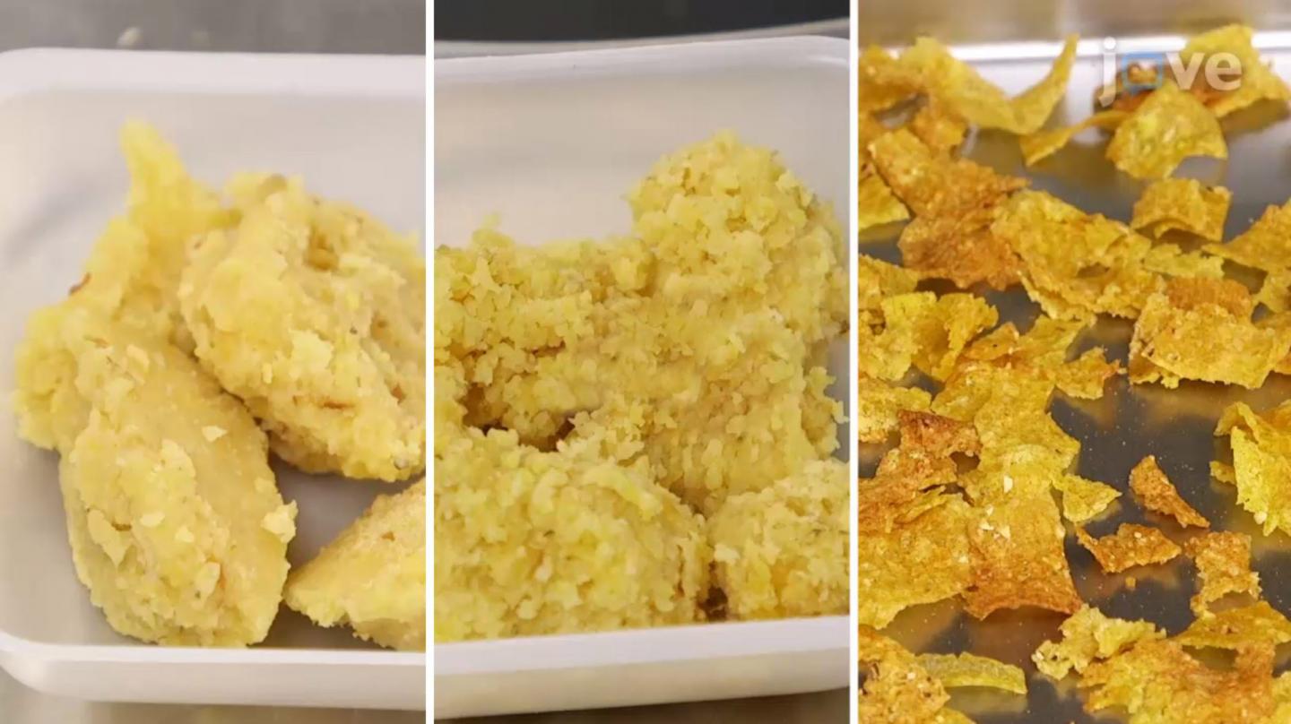 From corn to flake: Health-promoting phenolic | EurekAlert!