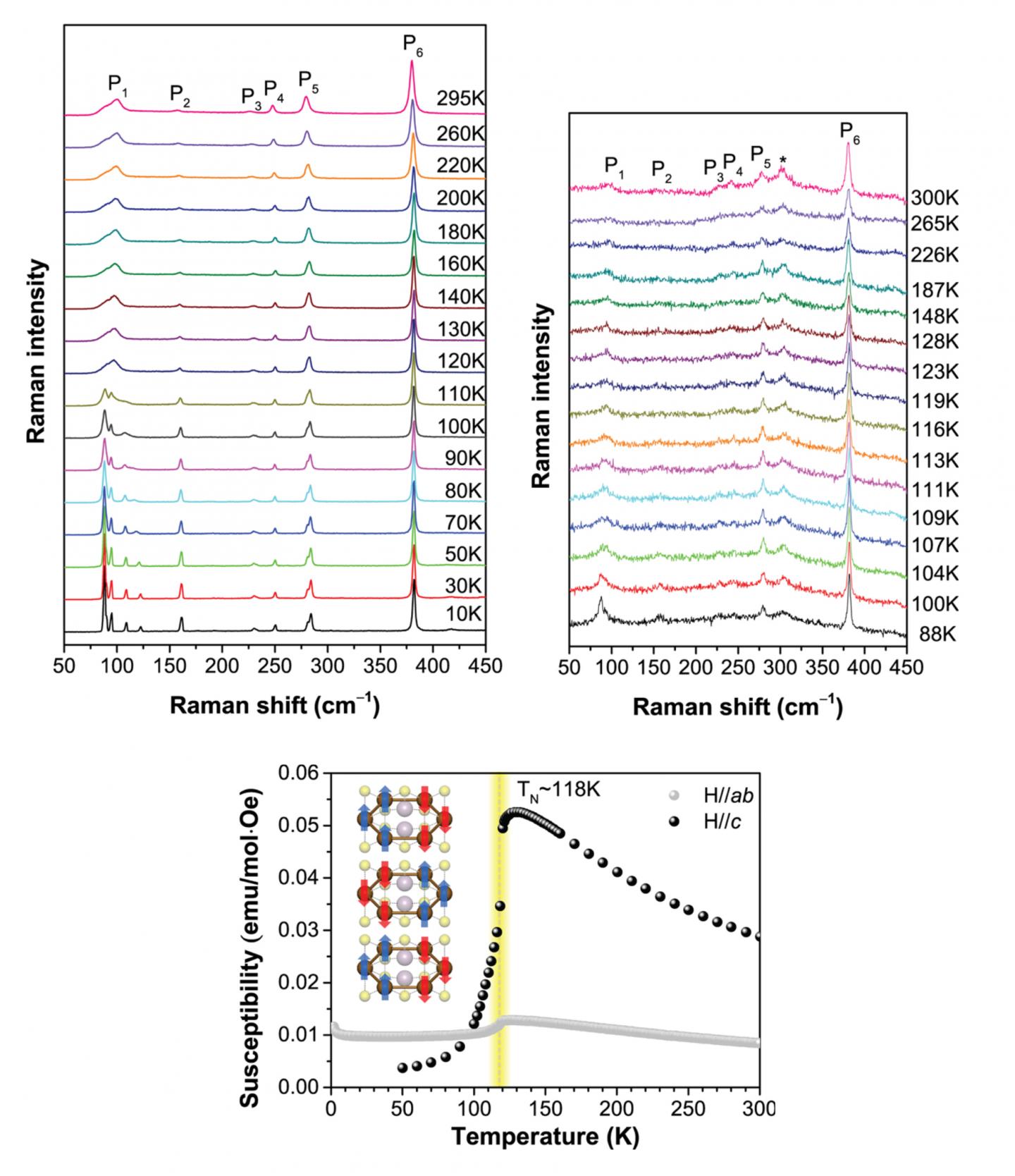 Raman Spectroscopy Results [IMAGE] | EurekAlert! Science News Releases
