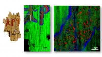ESRF X-ray Fluorescence Map of [IMAGE] | EurekAlert! Science News Releases