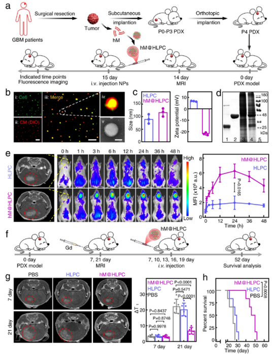 Evaluation of the synergistic [IMAGE] | EurekAlert! Science News Releases