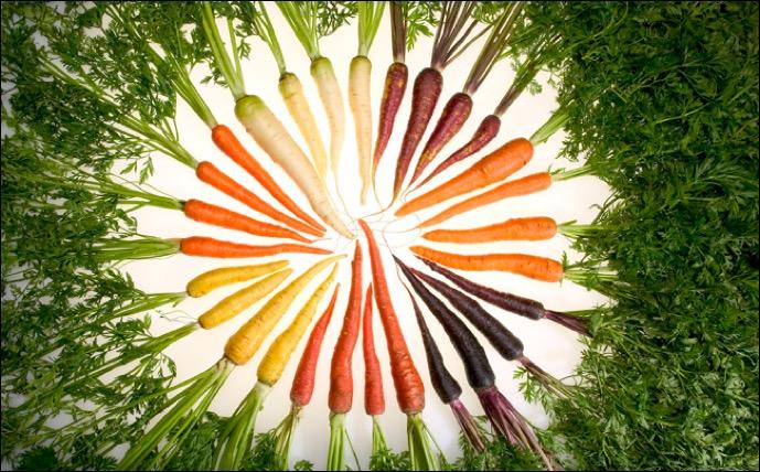 Carrot Colors [IMAGE] | EurekAlert! Science News Releases
