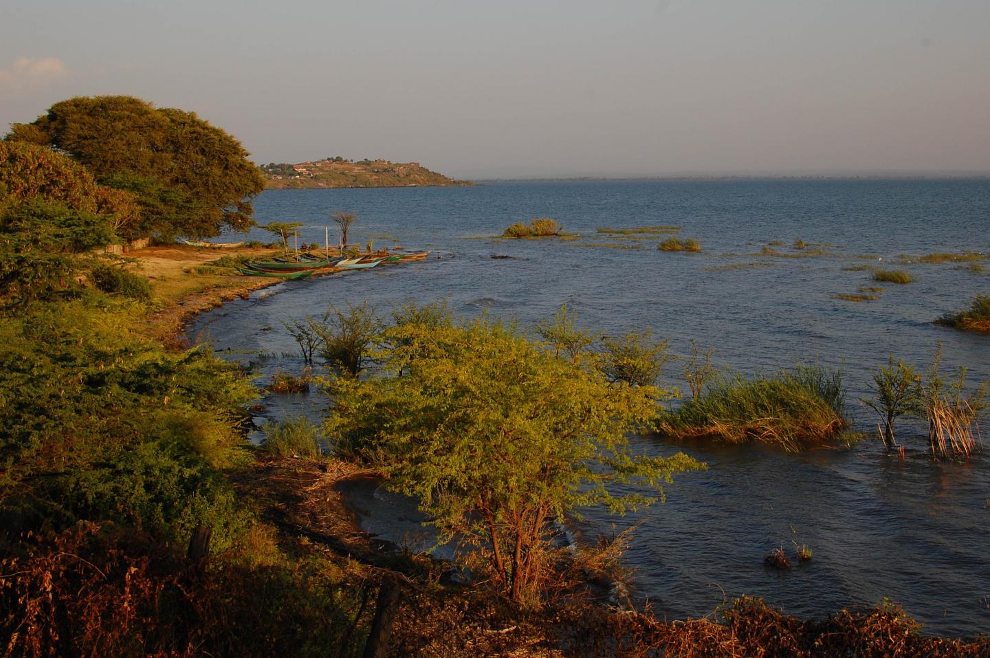 Lake Victoria Water Study [IMAGE] | EurekAlert! Science News Releases