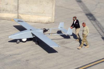 Copperhead [IMAGE] | EurekAlert! Science News Releases