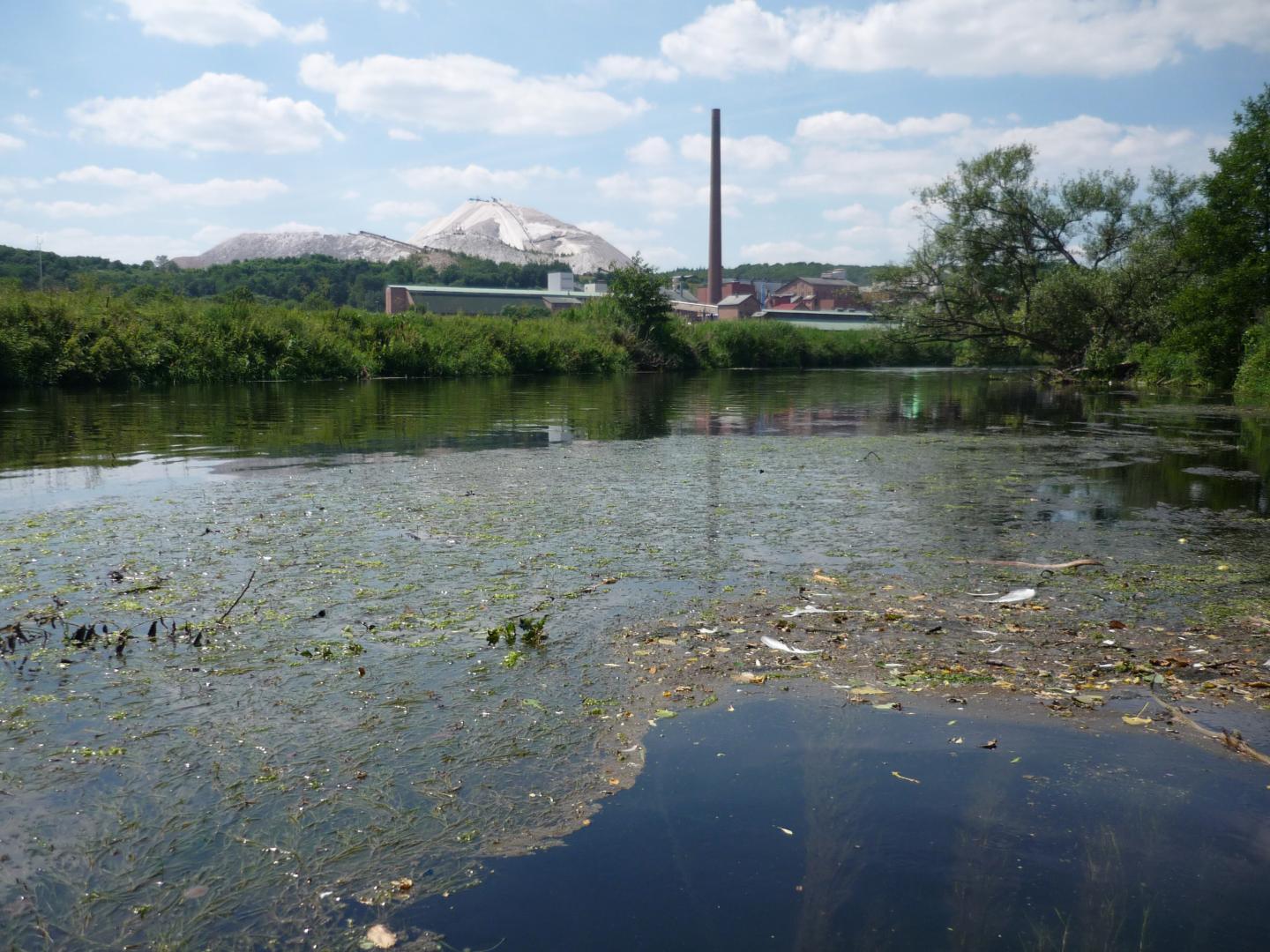 Saving Salt Polluted Freshwater Ecosystems (3 | EurekAlert!