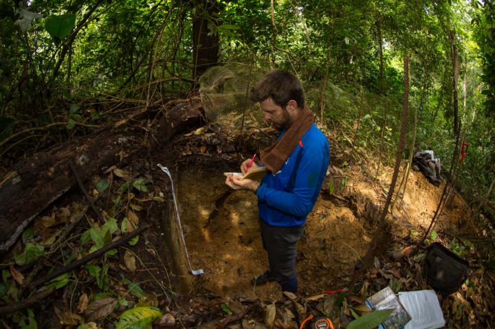 Ben Turner in Soil Pit [IMAGE] | EurekAlert! Science News Releases