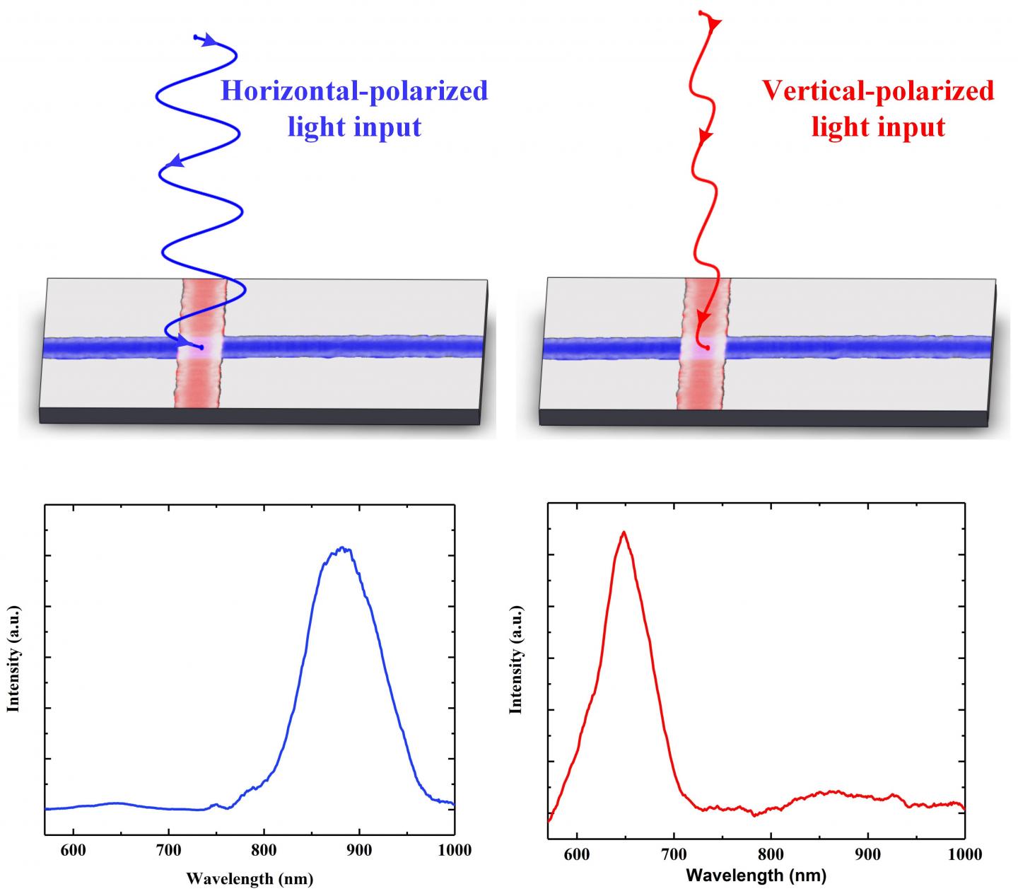 Illuminating electronics: Researchers constru | EurekAlert!