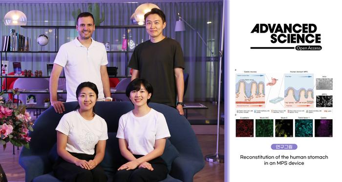 Revolutionary breakthrough: human stomach mic | EurekAlert!