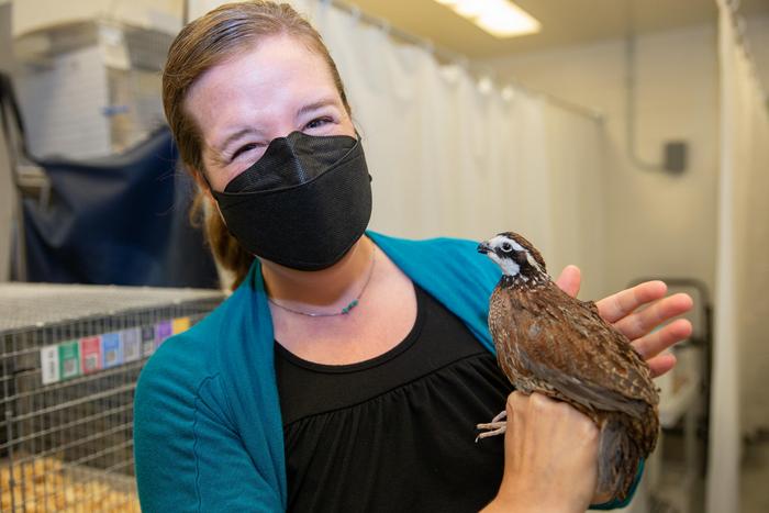 HOBSON [IMAGE] | EurekAlert! Science News Releases