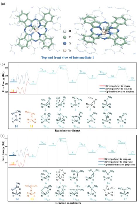 Figure 4 DFT calculation for a [IMAGE] | EurekAlert! Science News Releases