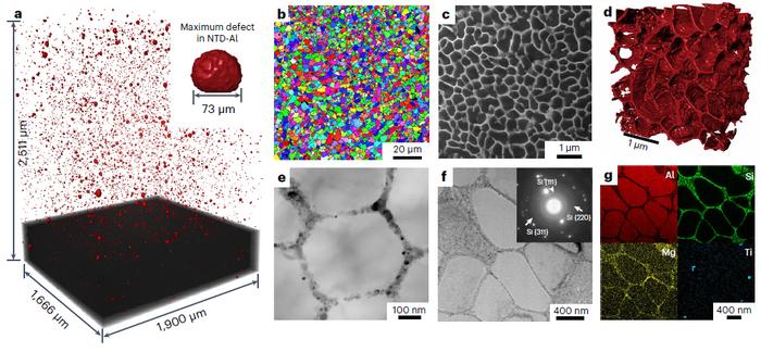 Microstructure of the AM NTD-A [IMAGE] | EurekAlert! Science News Releases
