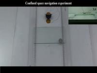 Soft Wall-Climbing Robots (4 of 6) | EurekAlert!