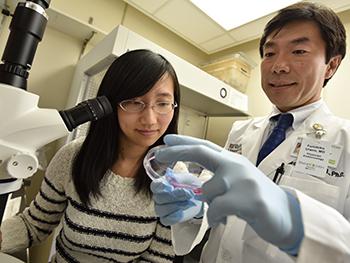 Simin Lu and Fumihiko Urano, W [IMAGE] | EurekAlert! Science News Releases