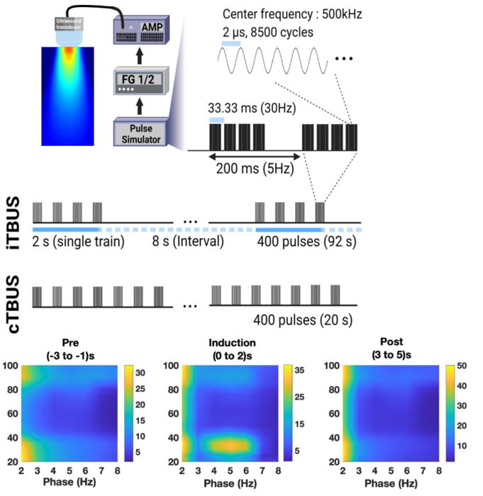Figure 1. Ultrasound experimen [IMAGE] | EurekAlert! Science News Releases